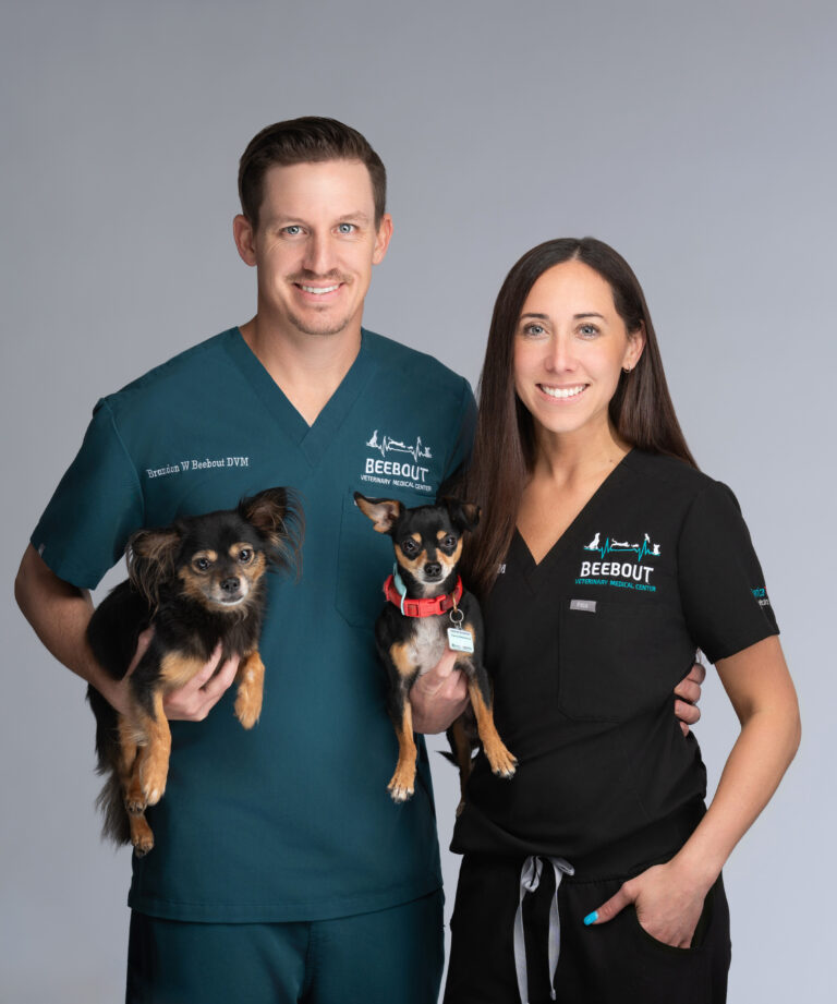 Meet Our Team | Veterinarians & Staff – Beebout VMC